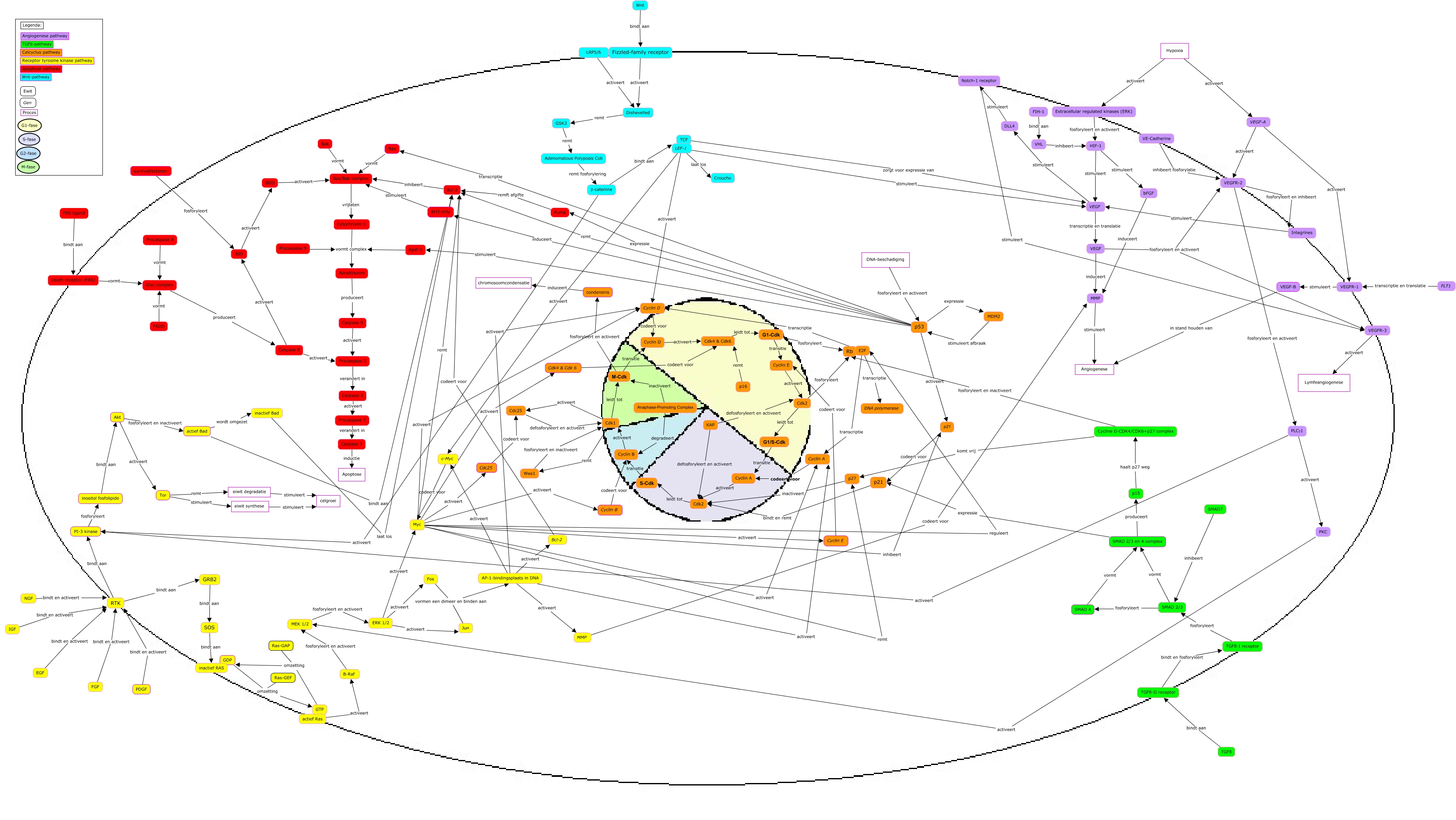 CMap_versie1_[TeamR]